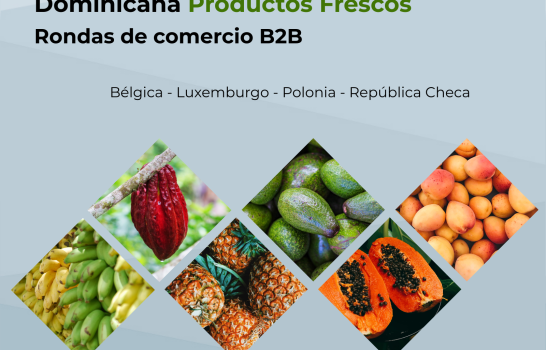 Harán feria virtual de productos del agro dominicano para exportar ...